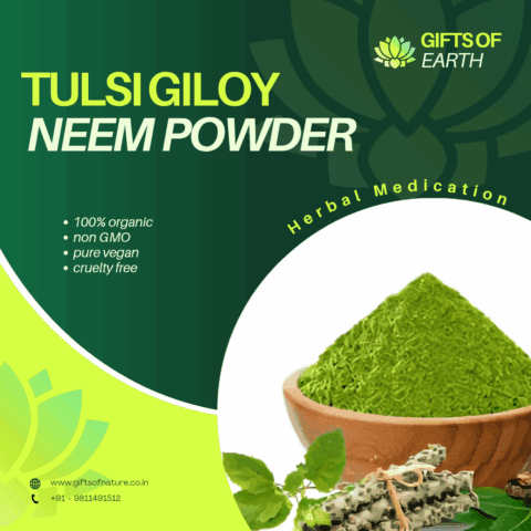 Neem Tulsi Giloy Powder - Gifts Of Earth